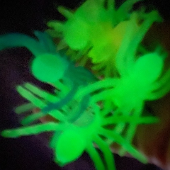 Toys | Kids Box Of Glow In The Dark Spiders | Poshmark